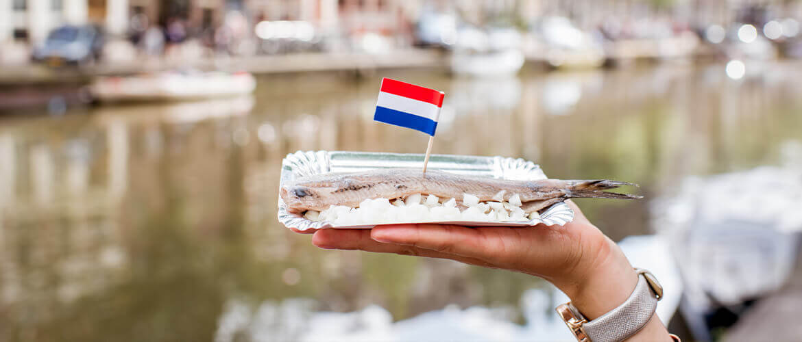 Can't-Miss Dining Experiences in the Dutch Capital - Odyssea Voyage
