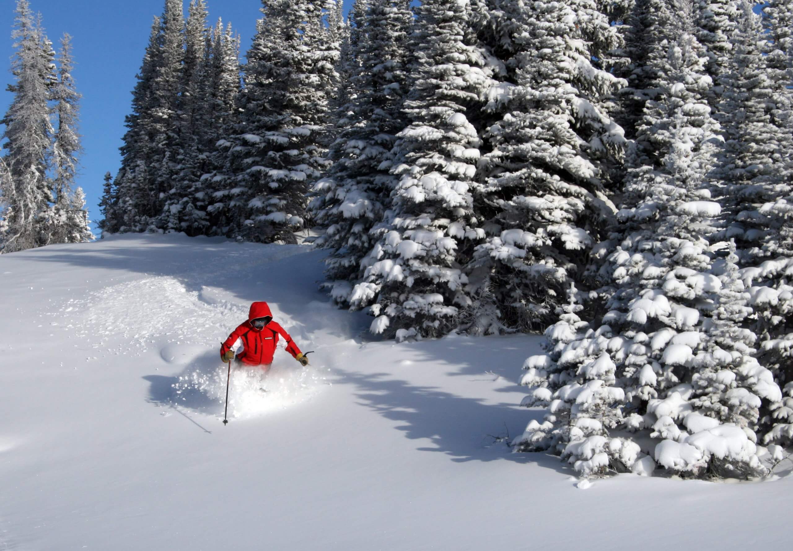 Jasper : Ski Marmot Basin - Odyssea Voyage